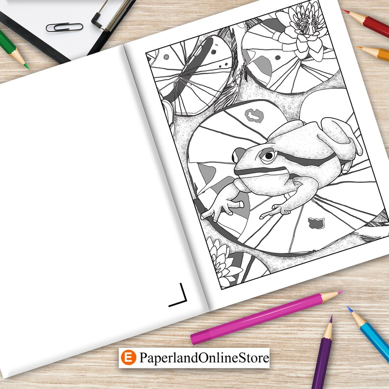 Tomato Frogs Coloring Book Coloring Books for Adults - Etsy