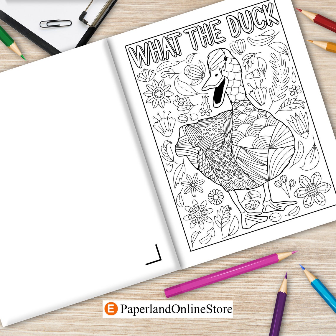 Duck Coloring Book Adult Coloring Book Animal Coloring Book - Etsy