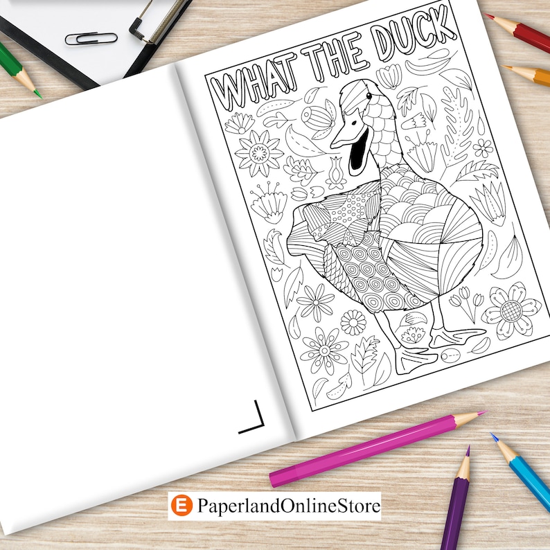 Duck Coloring Book Adult Coloring Book Animal Coloring Book - Etsy