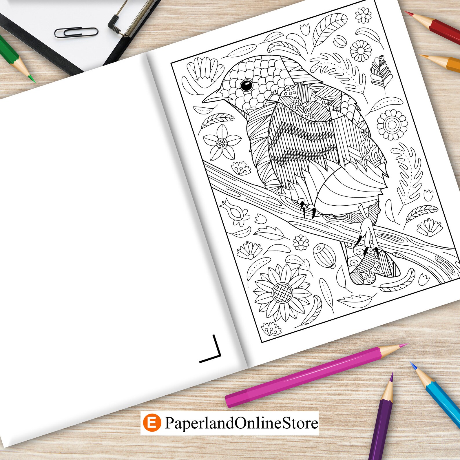 Eastern Bluebird Coloring Book Zentangle Books for Adult - Etsy