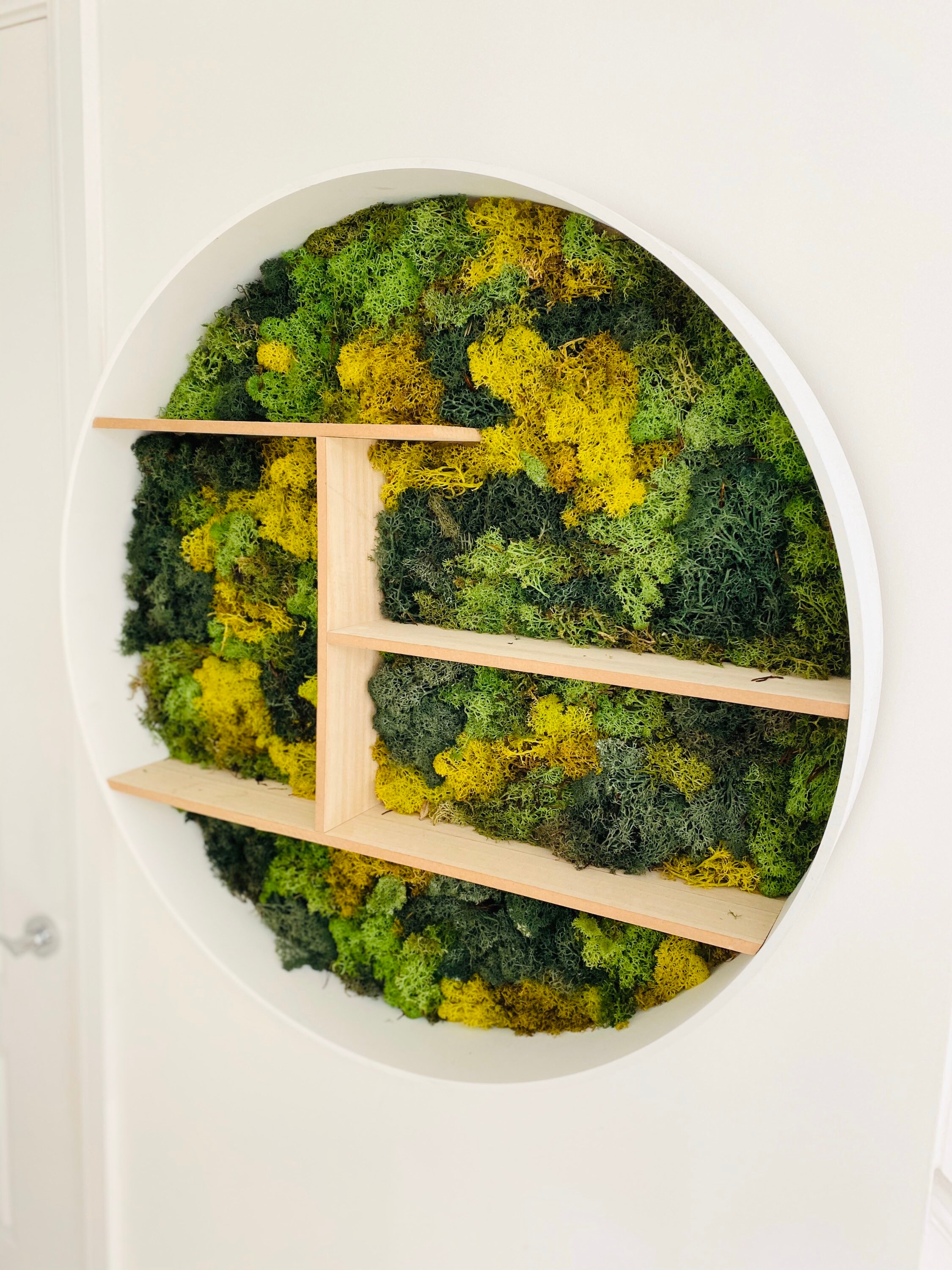 Moss Shelf. Preserved Moss Shelving Unit. - Etsy
