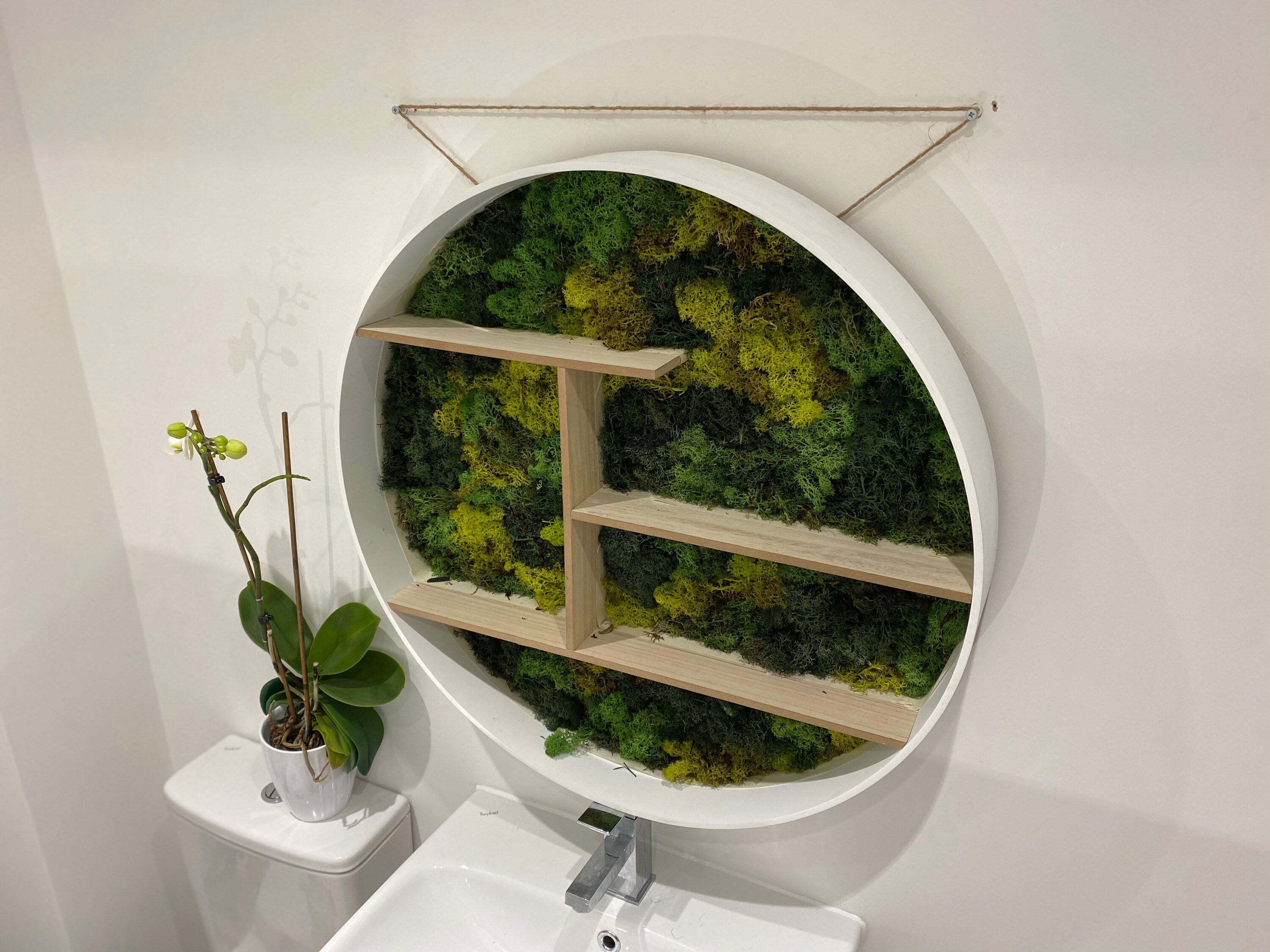 Moss Shelf. Preserved Moss Shelving Unit. - Etsy