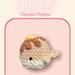 Pancake Whale Crochet Pattern (DIGITAL PDF PATTERN) - Etsy