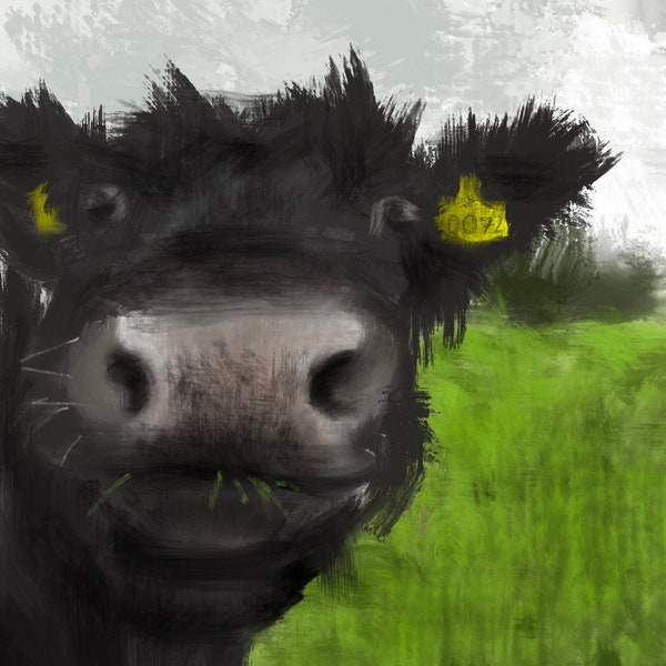 Belted Galloway Art - Etsy