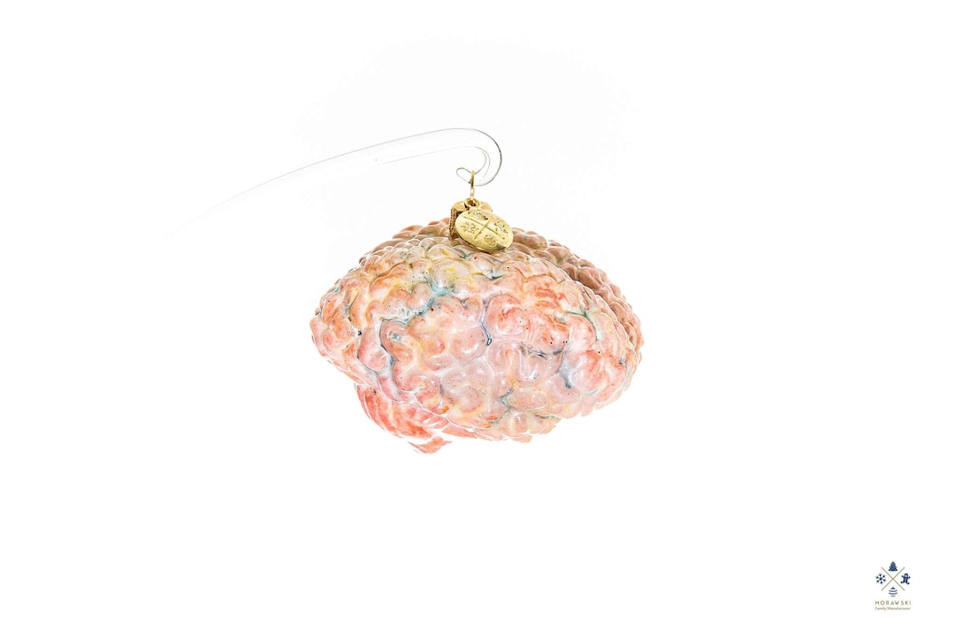 Glass Human Brain - Handmade, Glass Christmas Ornament, Made in Polish ...