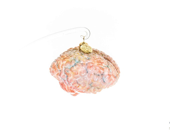 3D Laser Etched Human Brain, Anatomical Model Paperweight, Crystal ...