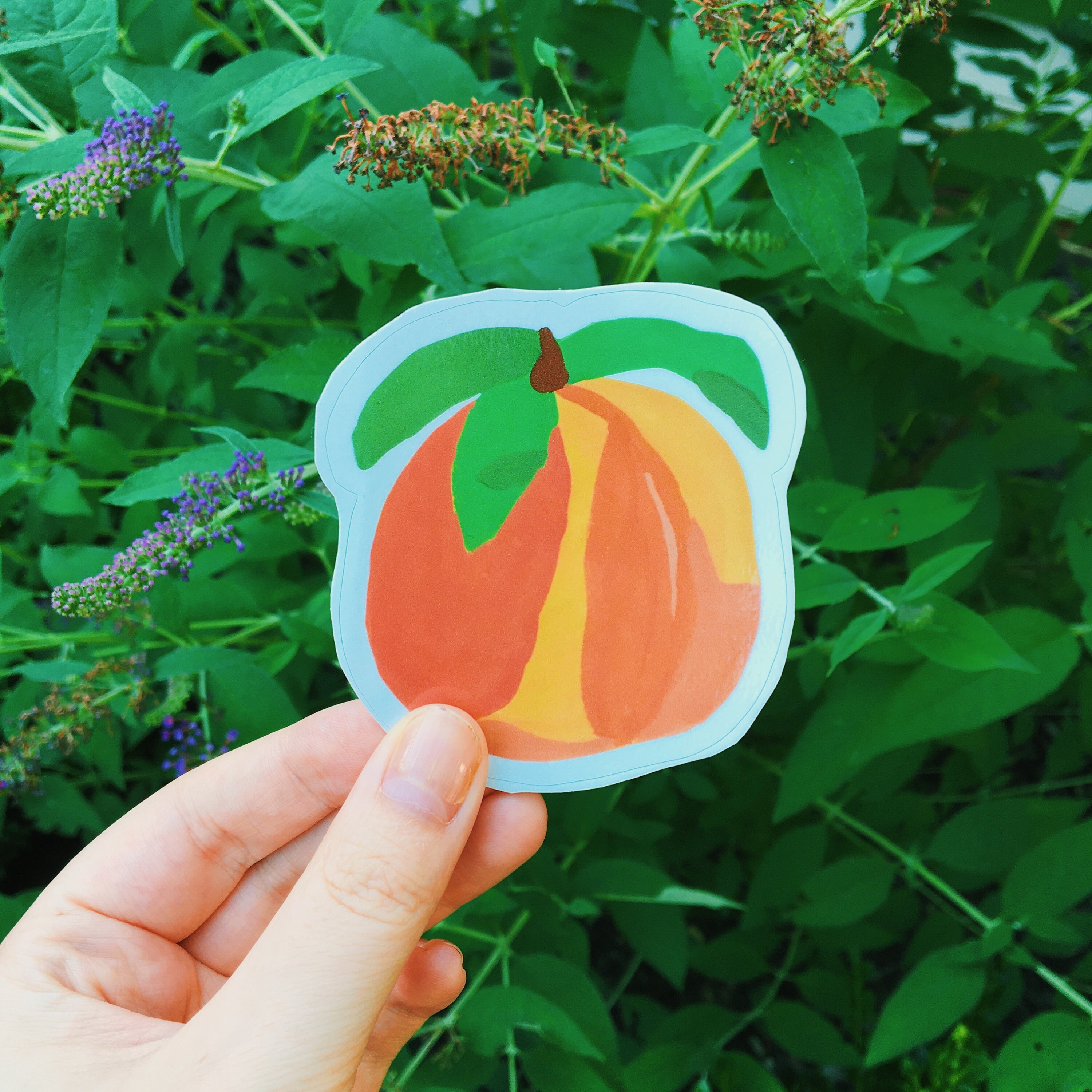 Peach Sticker summer sticker aesthetic sticker | Etsy