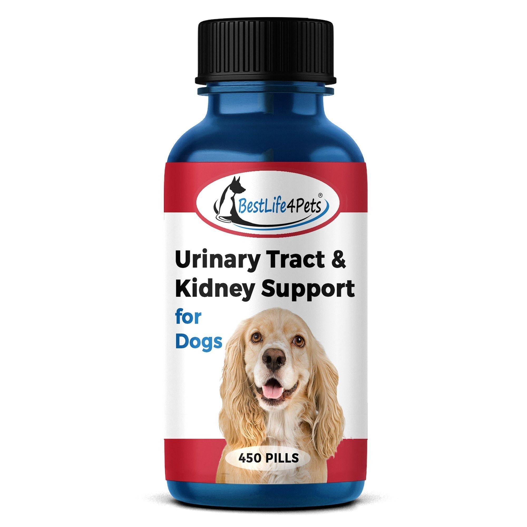 How Can I Naturally Treat My Dogs Uti