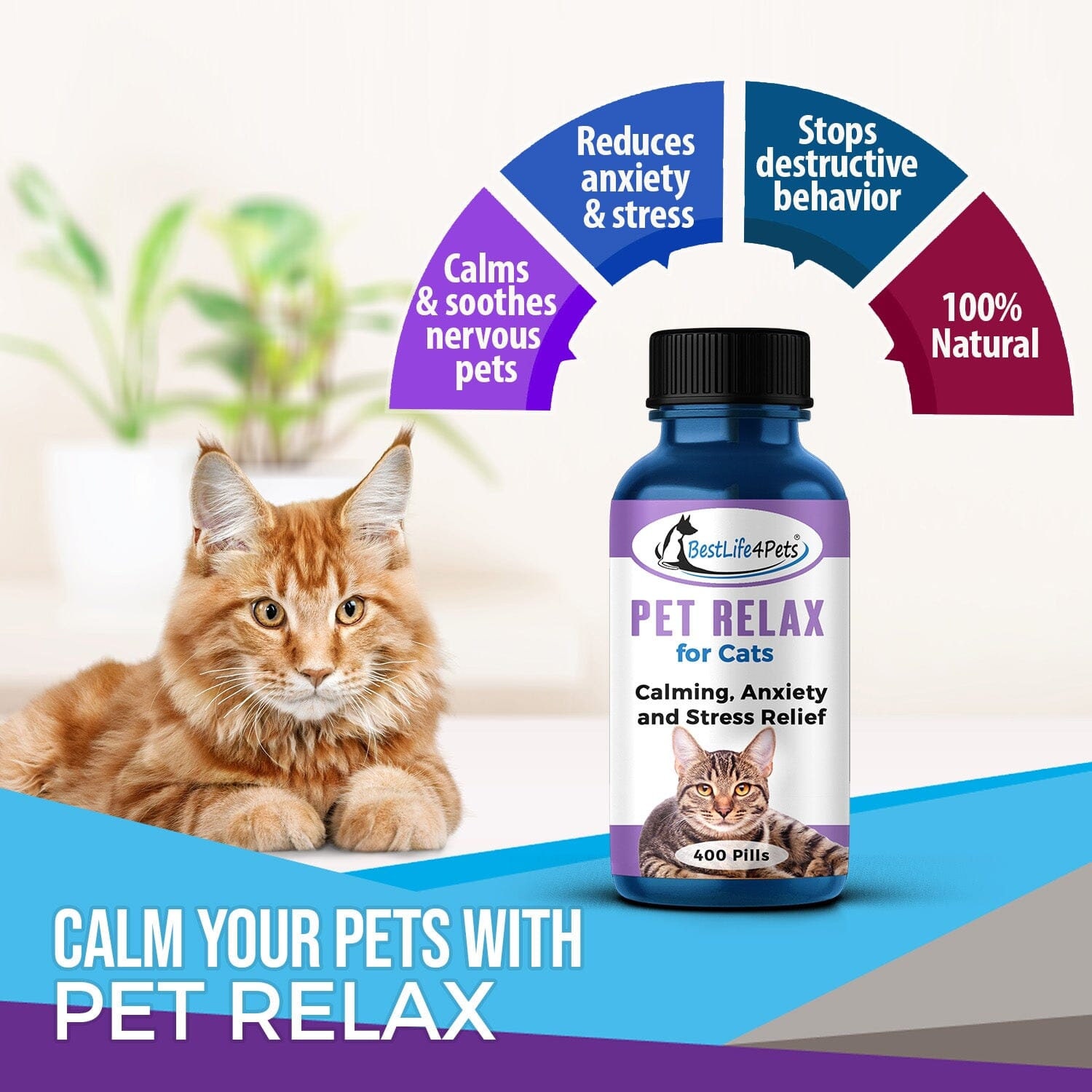 Pet Relax Anxiety and Stress Relief for Cats - Etsy
