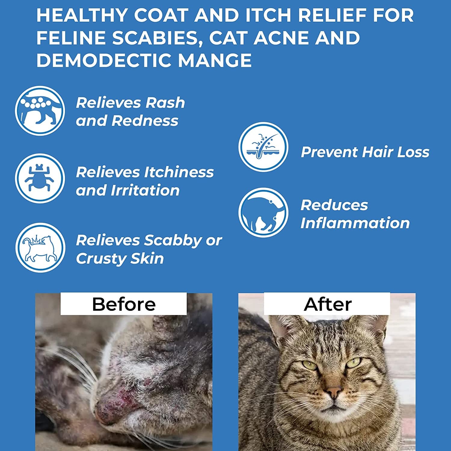 Demodectic Mange and Scabies Relief for Cats Itching Relief - Etsy