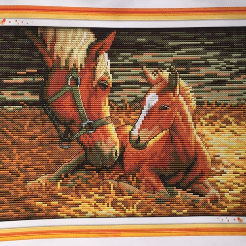 Horse Cross Stitch Kit Aida and Threads Included - Etsy