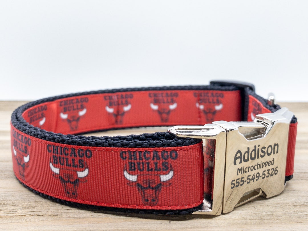 Personalized Chicago Bulls Dog Collar Laser Engraved Plastic and Metal ...