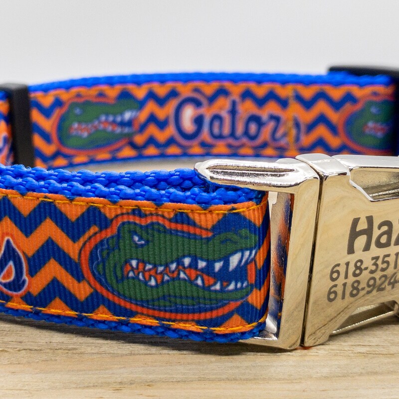 Florida Gator Dog - Etsy