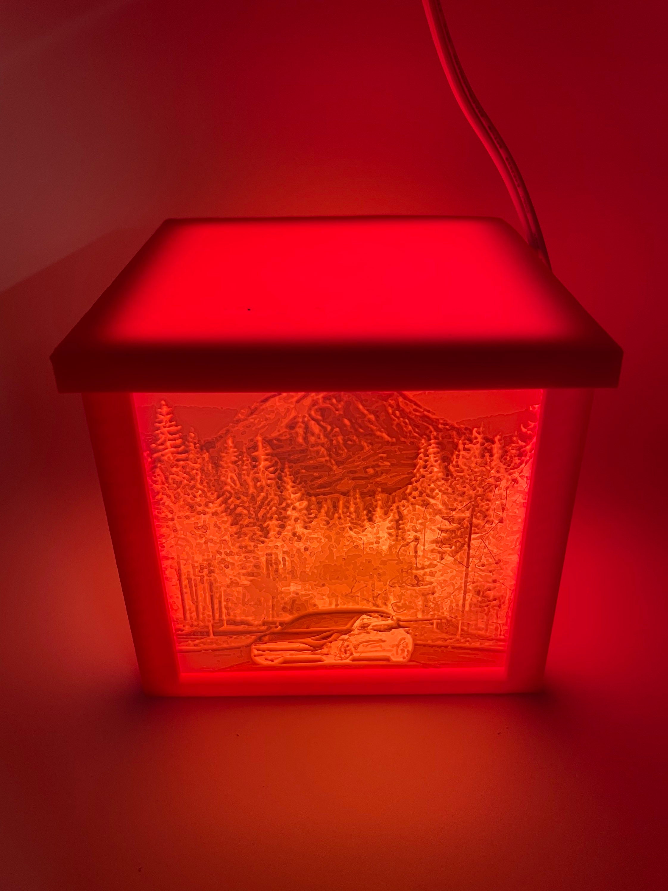 Custom Lithophane Made to Order With Your Pictures Tesla Pictures Light ...