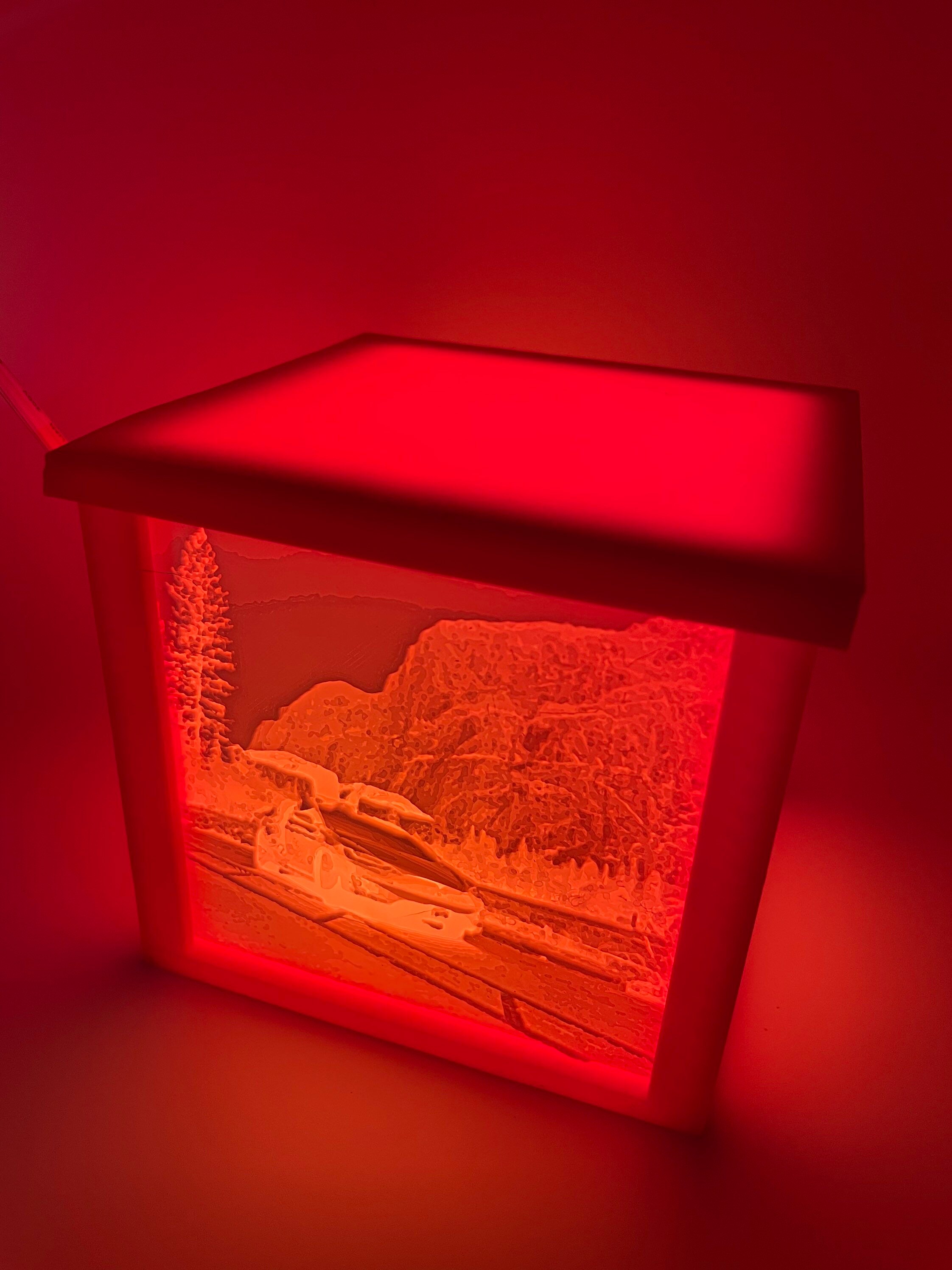 Custom Lithophane Made to Order With Your Pictures | Tesla | Pictures ...