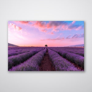 Lavender Fields - Print || Lavender Fields Photo Print Wall Art ...