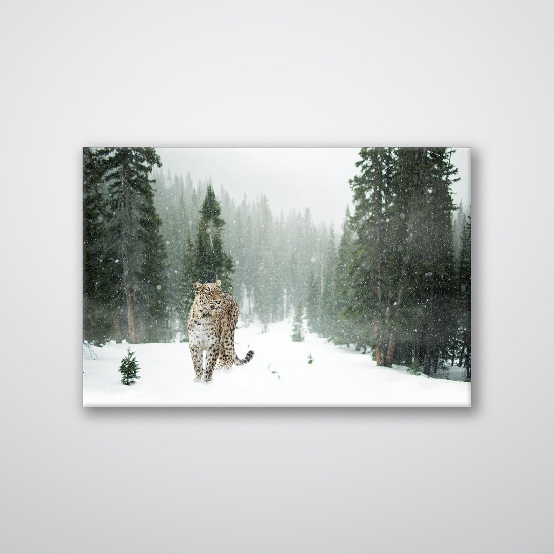 Snow Leopard Print || Animal Nursery Wall Art || Original Snow Leopard ...