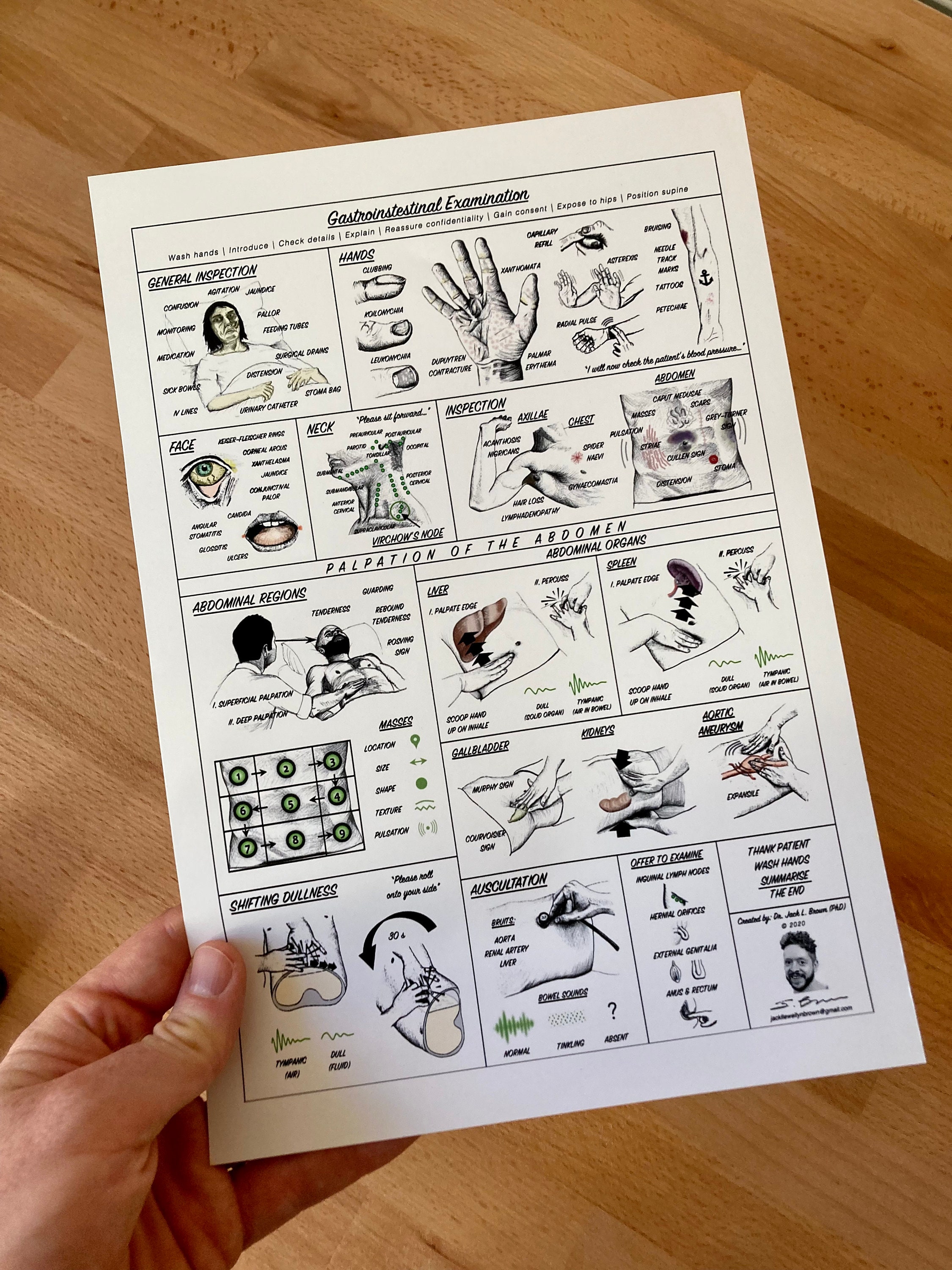 Gastrointestinal/abdominal OSCE Examination Study Guide (digital ...