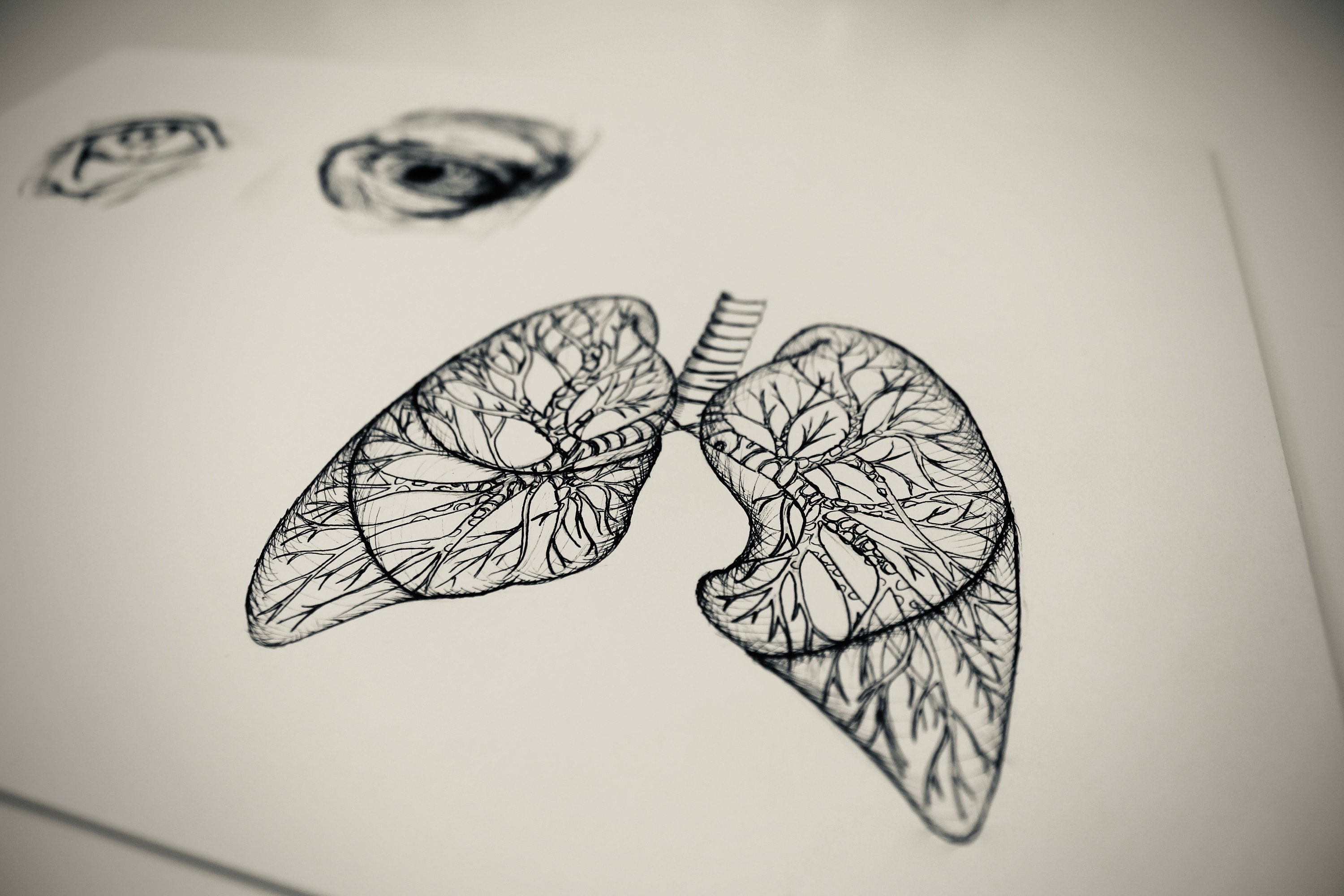 Respiratory/chest OSCE Examination Study Guide - Etsy