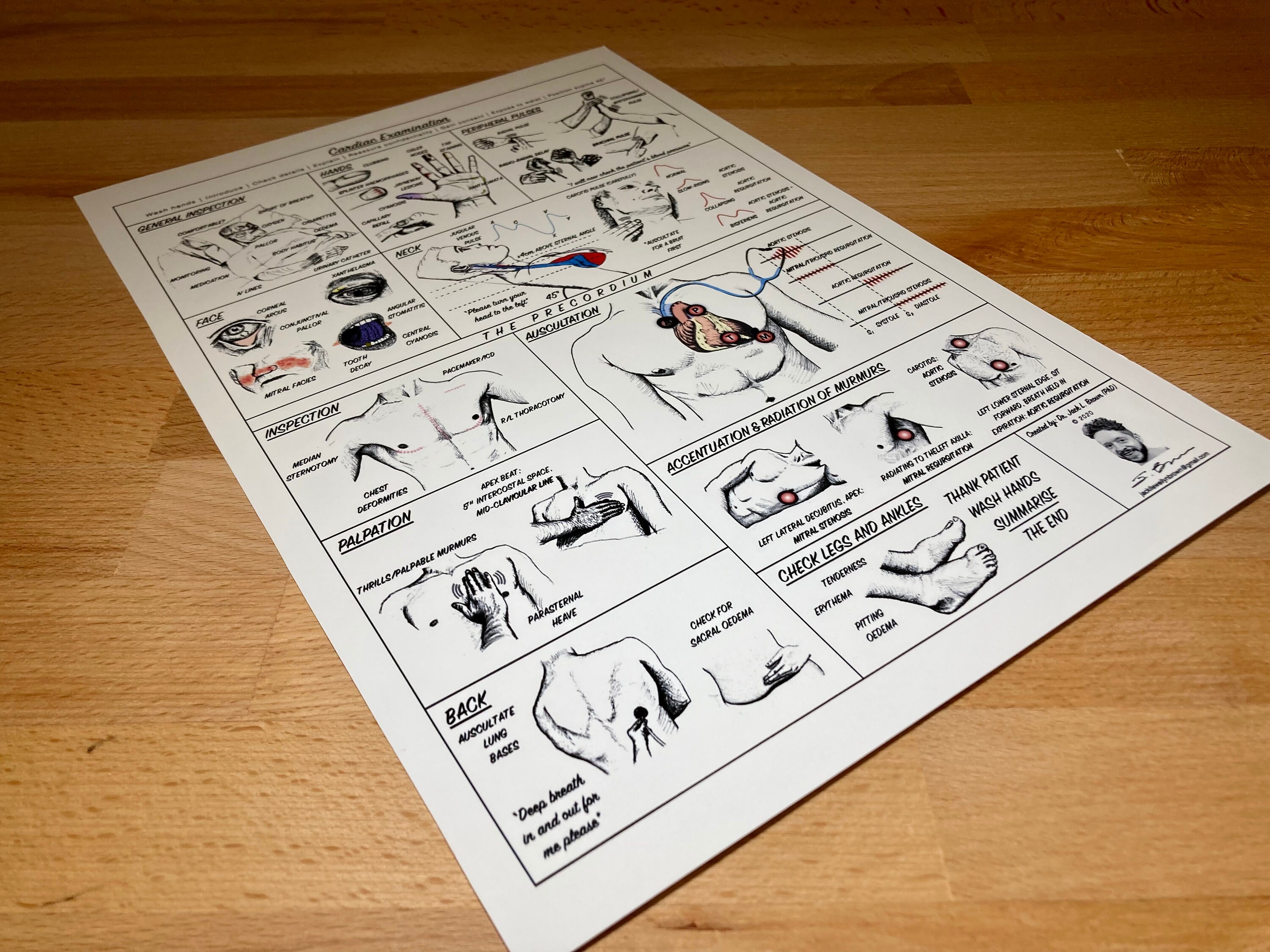 Cardiac/cardiovascular OSCE Examination Study Guide (digital Download ...