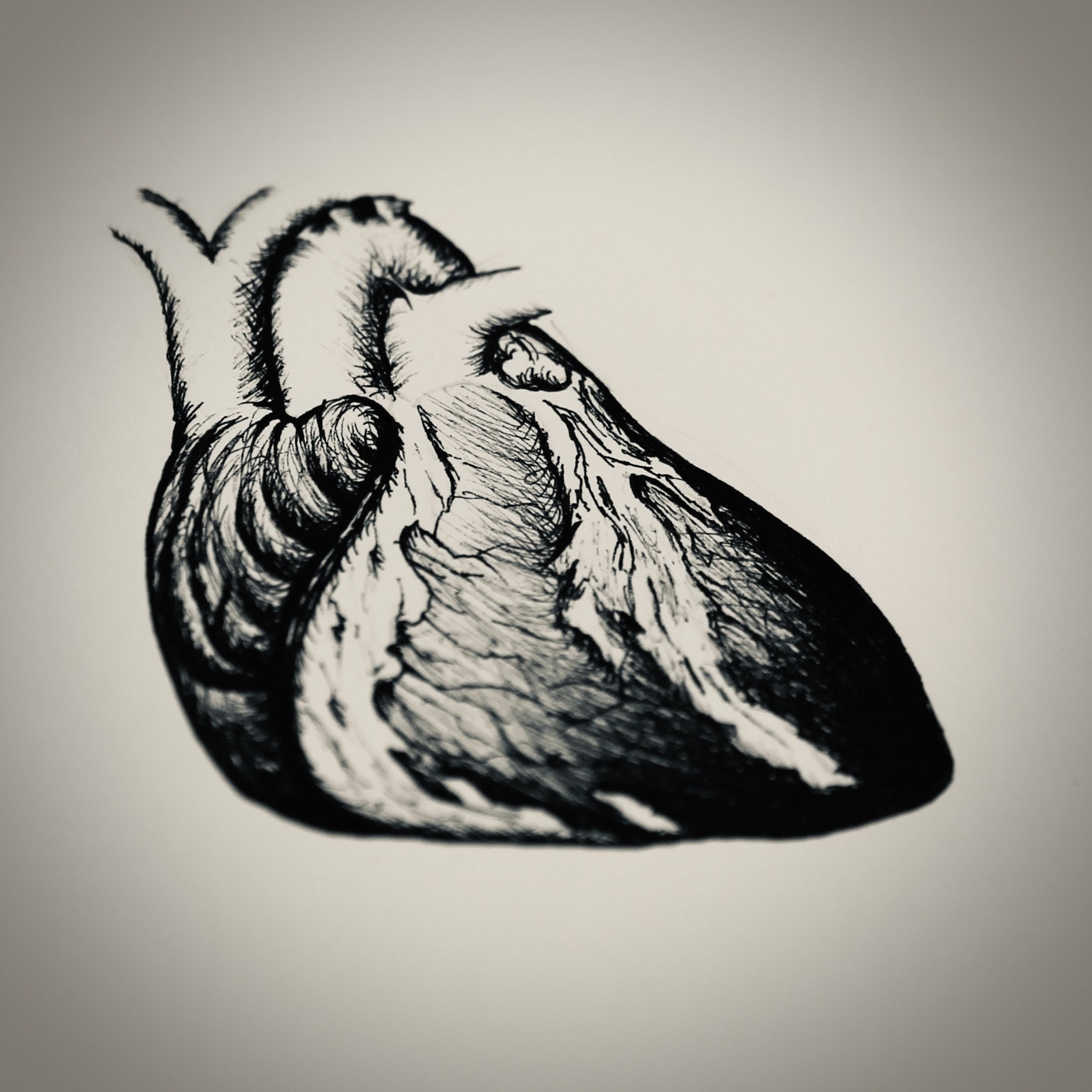 Clinical Examination OSCE Study Guide (A4 Matte Poster) - Etsy