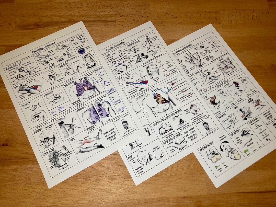 Clinical Examination OSCE Study Guide (A4 Matte Poster) - Etsy