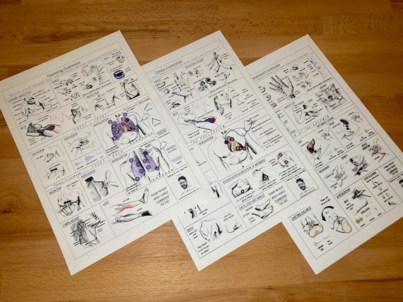 Clinical Examination OSCE Study Guide A4 Matte Poster - Etsy