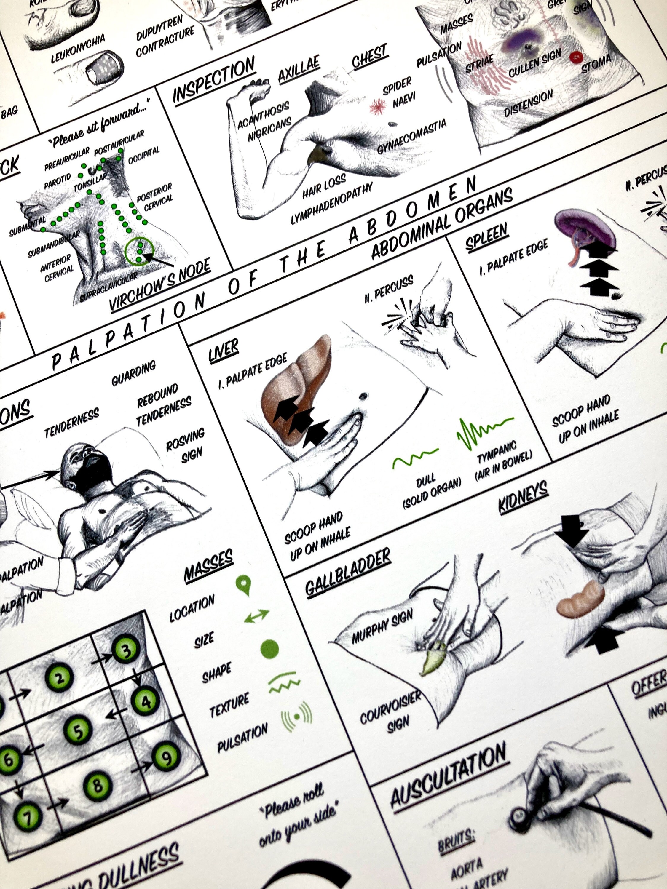 Clinical Examination OSCE Study Guide (A4 Matte Poster) - Etsy