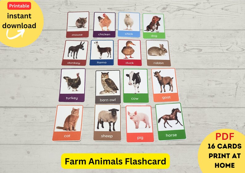Farm Animals Flashcards Early Years Learning Cards Toddler - Etsy
