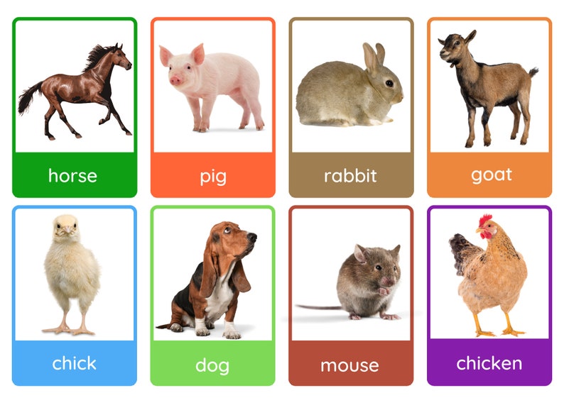 Farm Animals Flashcards Early Years Learning Cards Toddler - Etsy