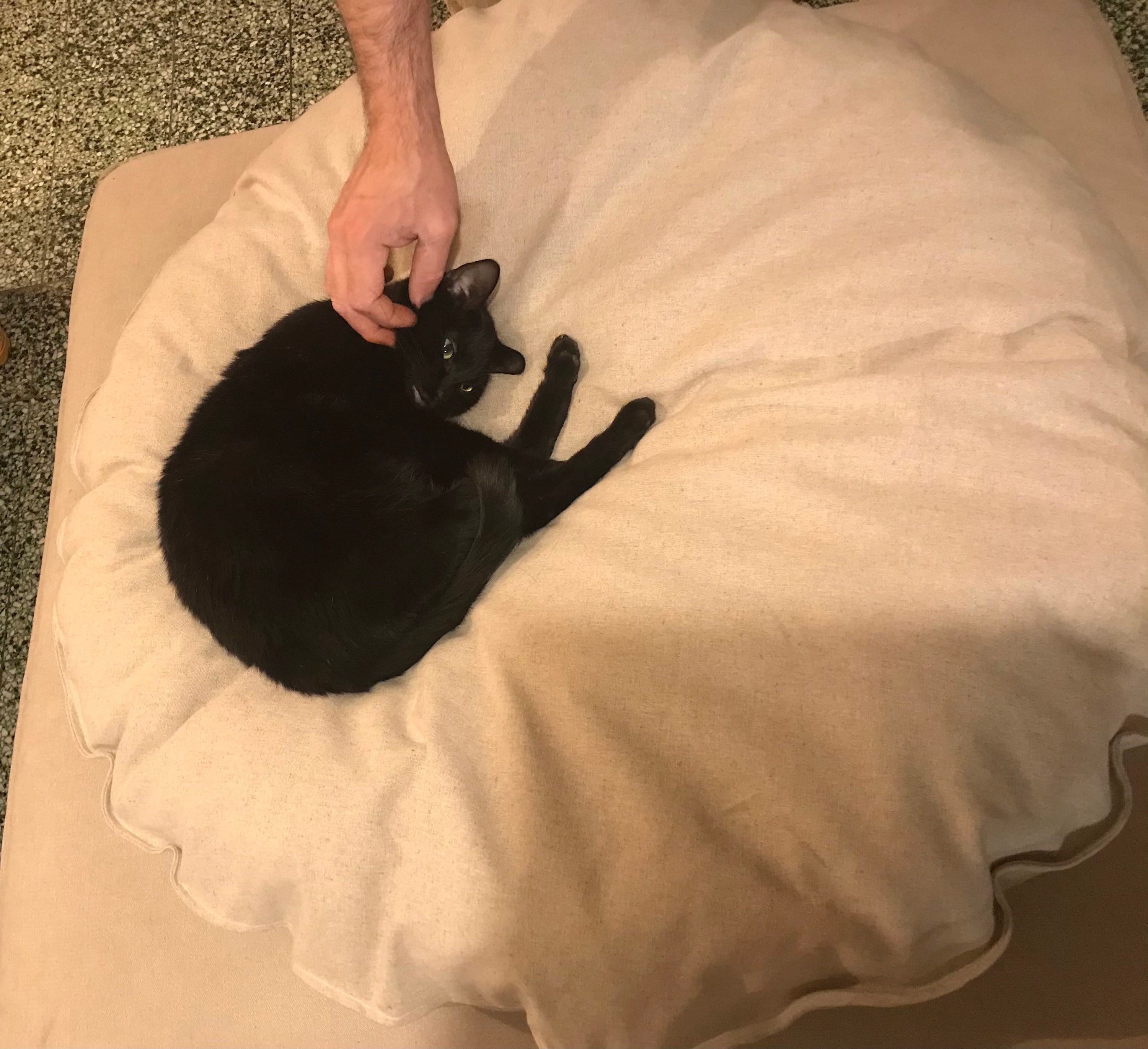 Cat Bed Cat Pouf Round Cushion Pillow or Cozy Niche for Pet - Etsy