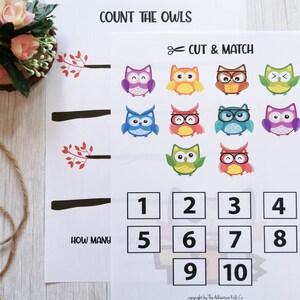 Count the Owls Preschool Activities Printables, Preschool Number ...