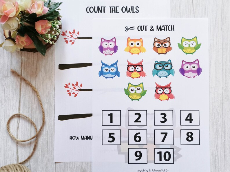 Count the Owls Preschool Activities Printables, Preschool Number ...