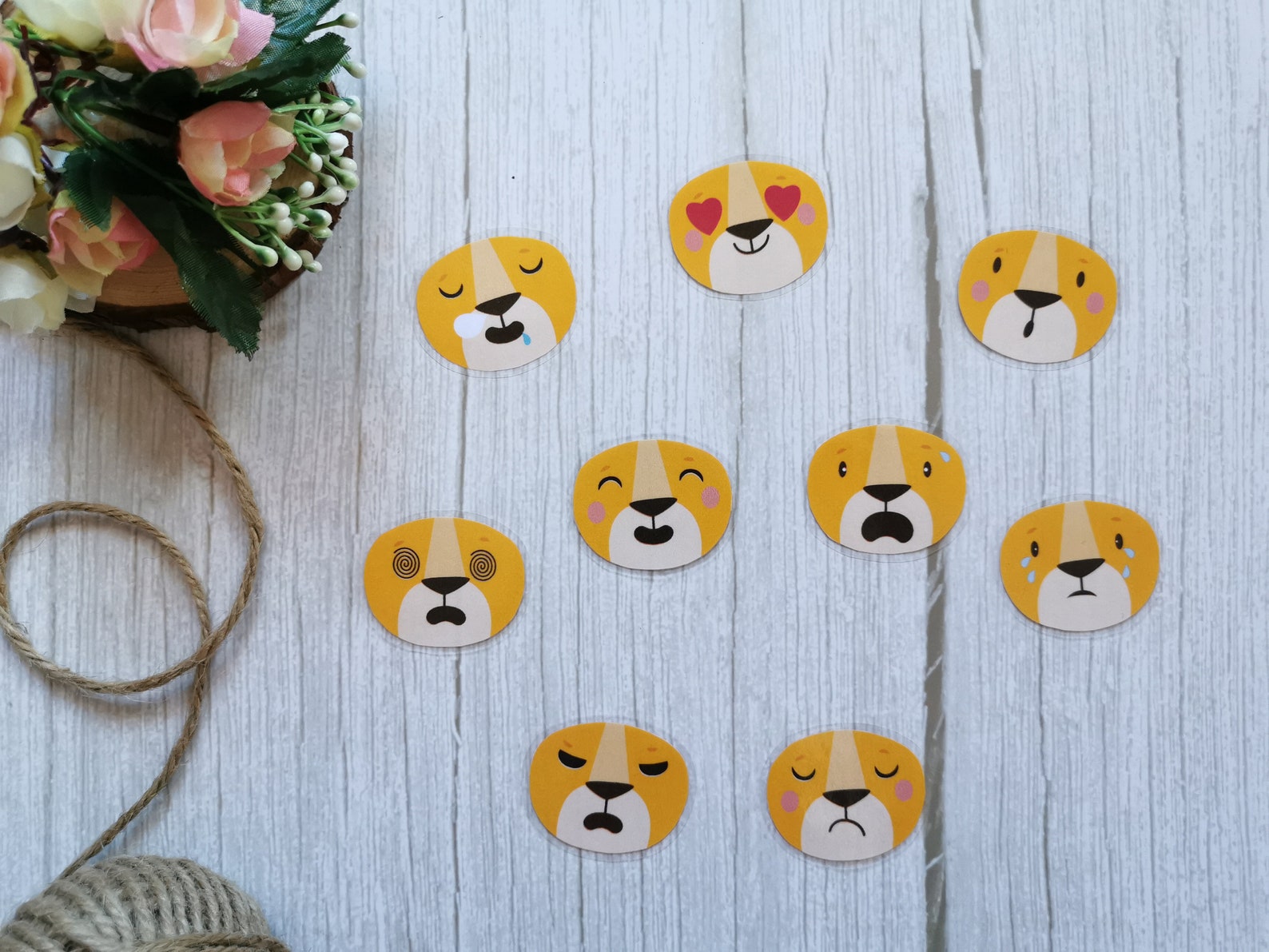 Preschool Lion Match the Emotions Printables, Matching Game Printable ...