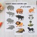 Preschool Wild Animals Matching Game Printable, Wild Animals Learning ...