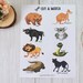 Preschool Wild Animals Matching Game Printable, Wild Animals Learning ...