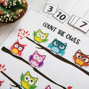 Count the Owls Preschool Activities Printables, Preschool Number ...
