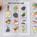 Preschool Fruit Matching Game Printable, Fruit Learning Printable ...