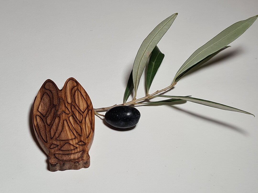 Cicada Magnet magnet Good Luck Charm in Olive Wood 8300 - Etsy UK