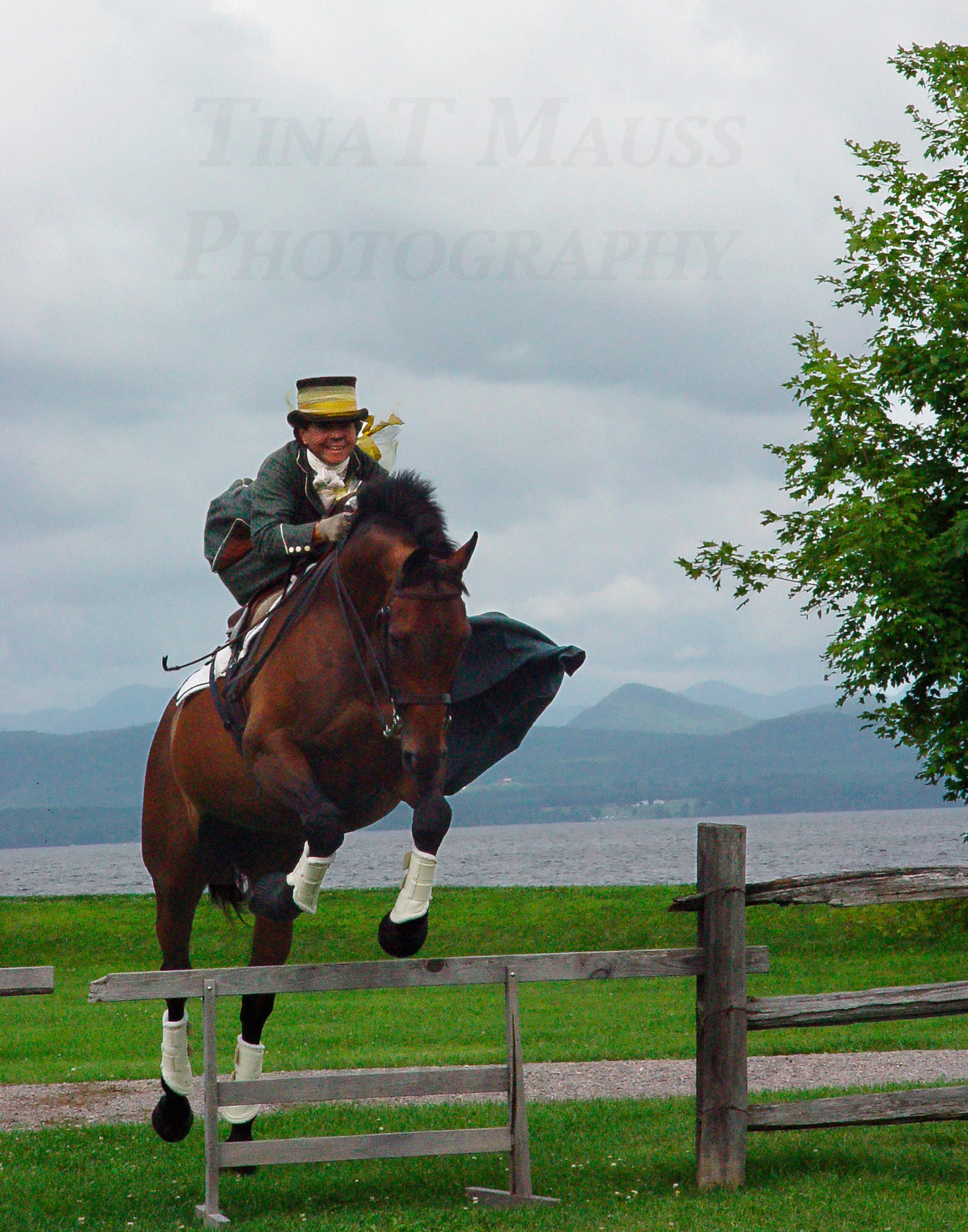 Horse Show Jumping Photography
