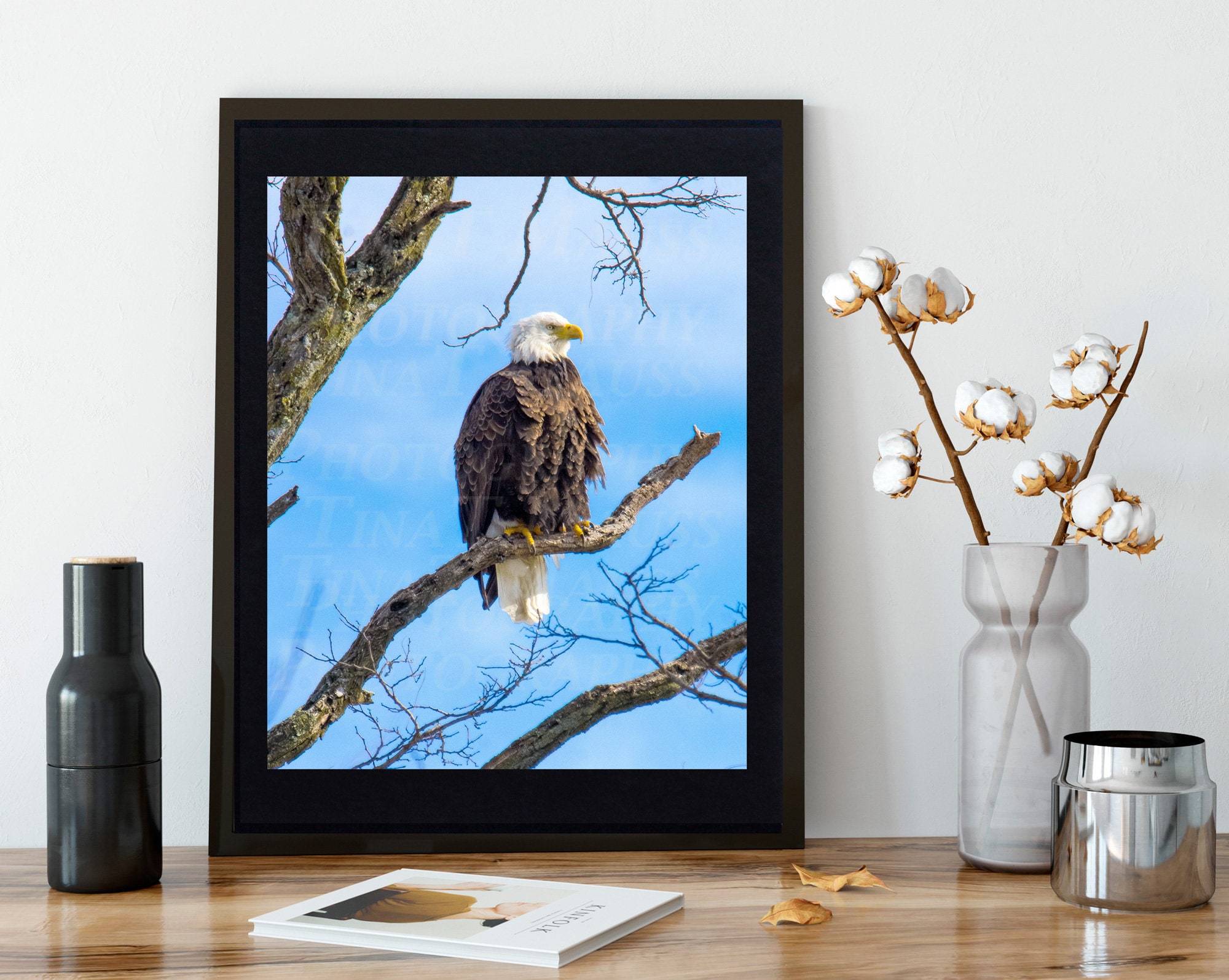 Gallant Bald Eagle Vermont Bird Prints, Eagle Prints, Framed Eagle ...