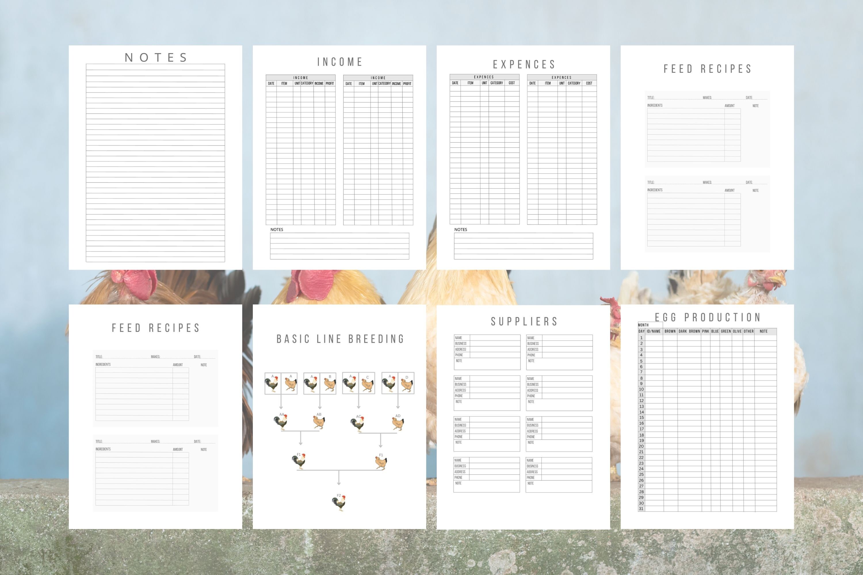 Poultry Keeping Logbook for Chickens PDF *digital Download* - Etsy
