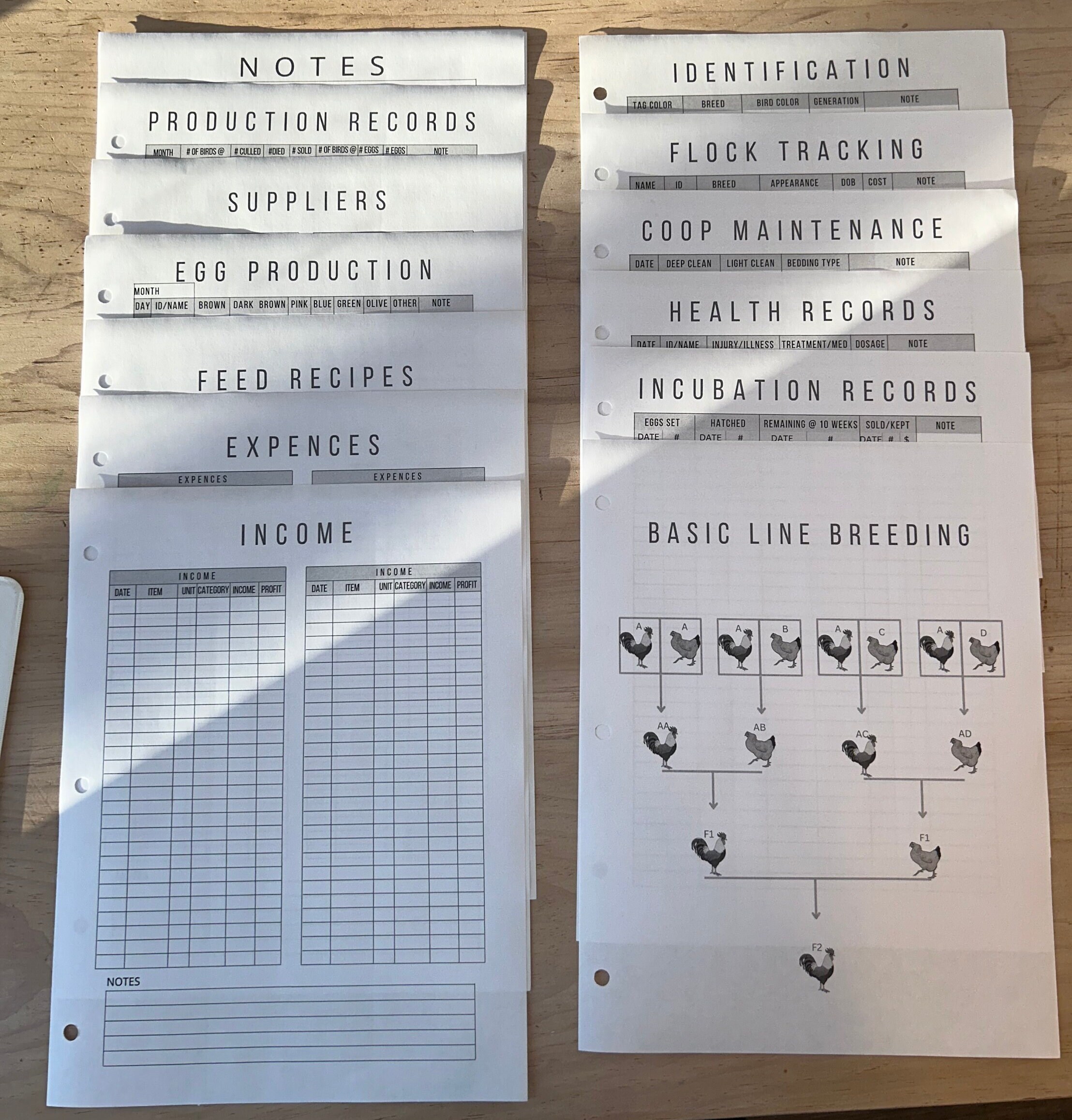 Poultry Keeping Logbook for Chickens PDF *digital Download* - Etsy