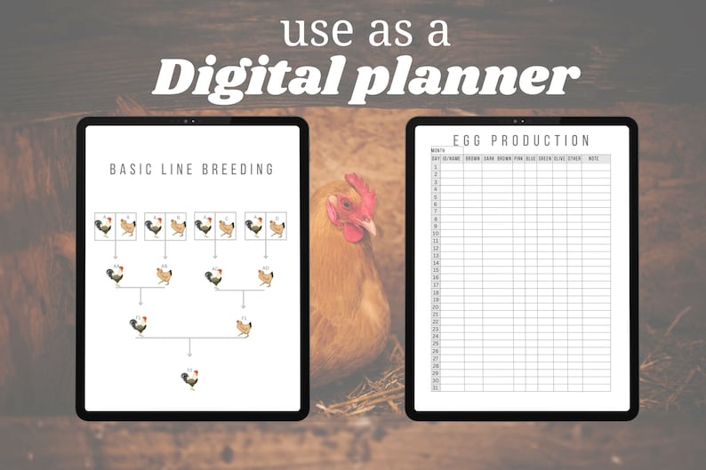Poultry Keeping Logbook for Chickens PDF *digital Download* - Etsy
