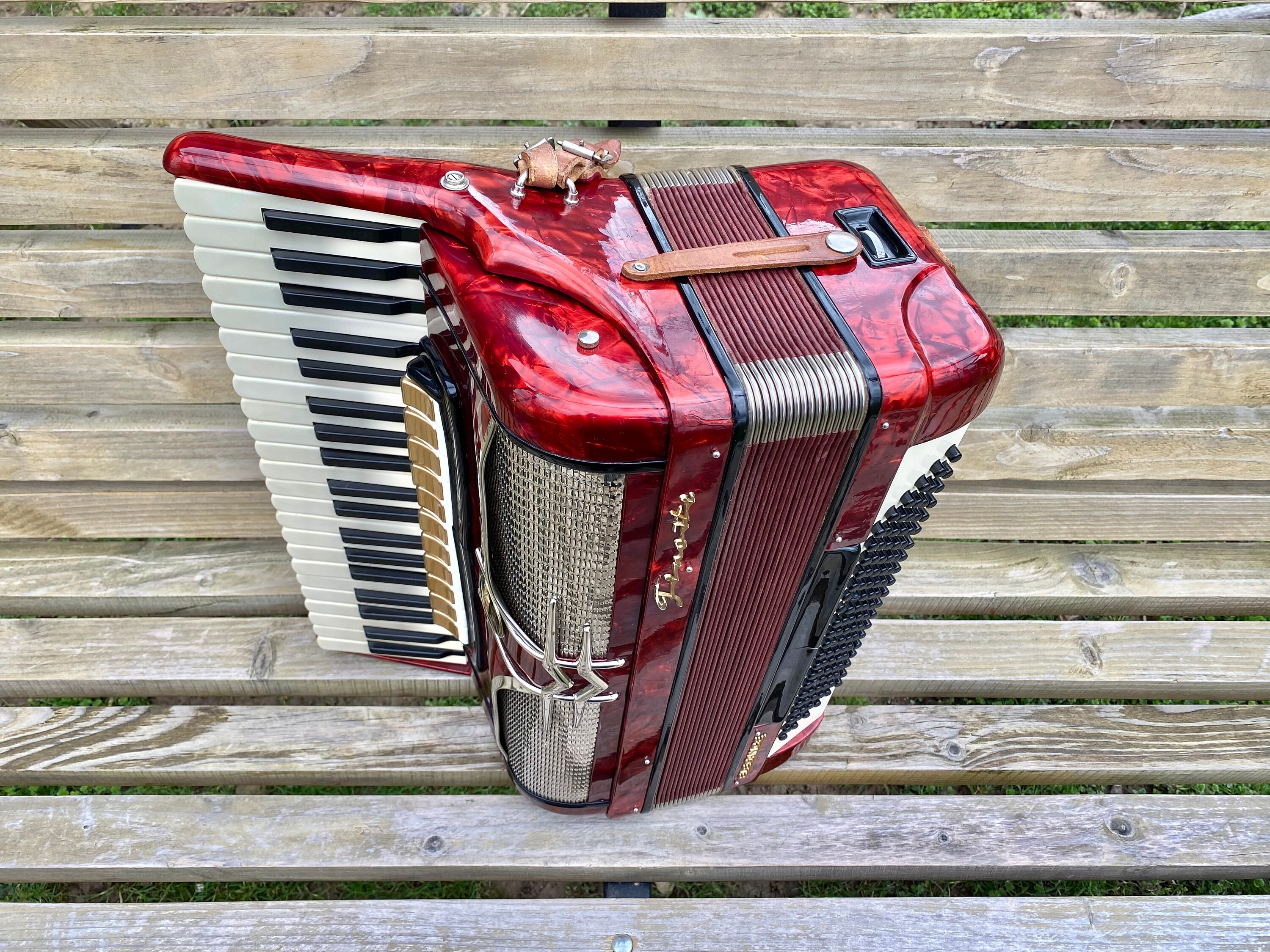 Firotti Elegance Piano Accordion 120 Bass 4 Voice 112 - Etsy Canada