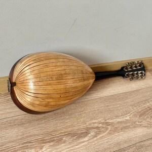 Professional Mandolin, Vintage Mandolin, Stringed Musical Instrument, 8 ...