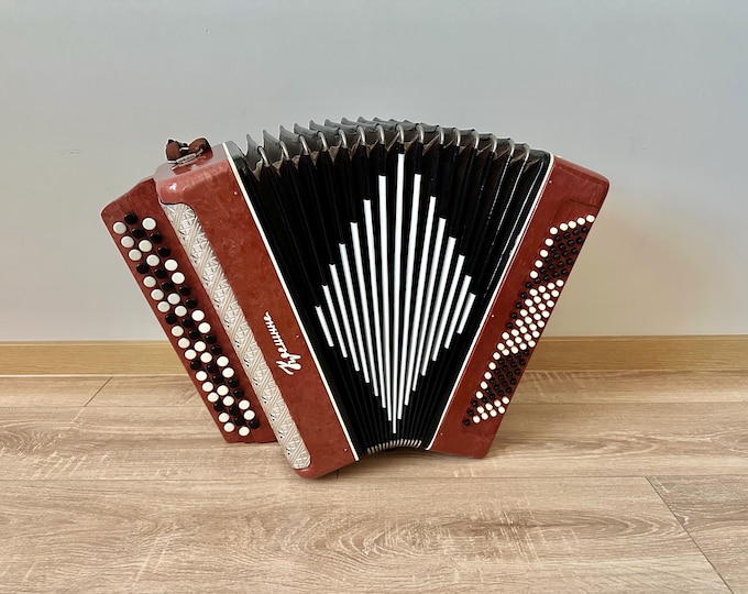 Ukrainian Bayan, Russian Bayan, 100 Bass, Accordion, Button Accordion ...