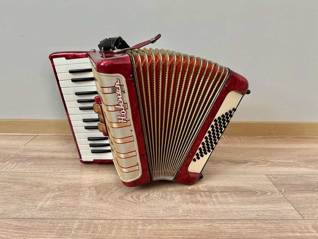 Rare Accordion Hohner Concerto I, 48 Bass, 2 Voice, Germany Accordion ...