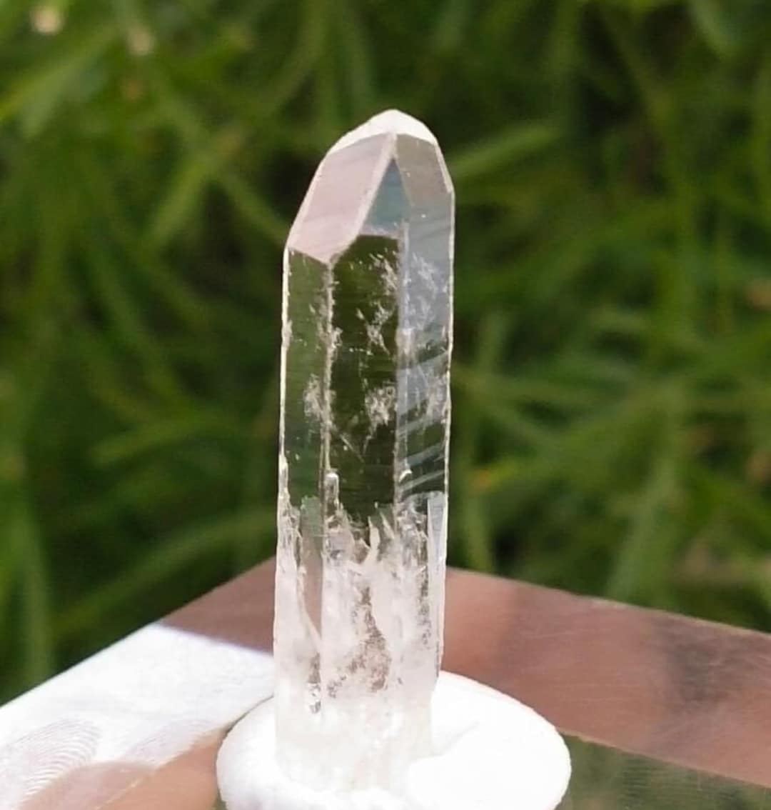 Laser Quartz, Lemurian Quartz, Himalayan Blades of Light Quartz Crystal ...