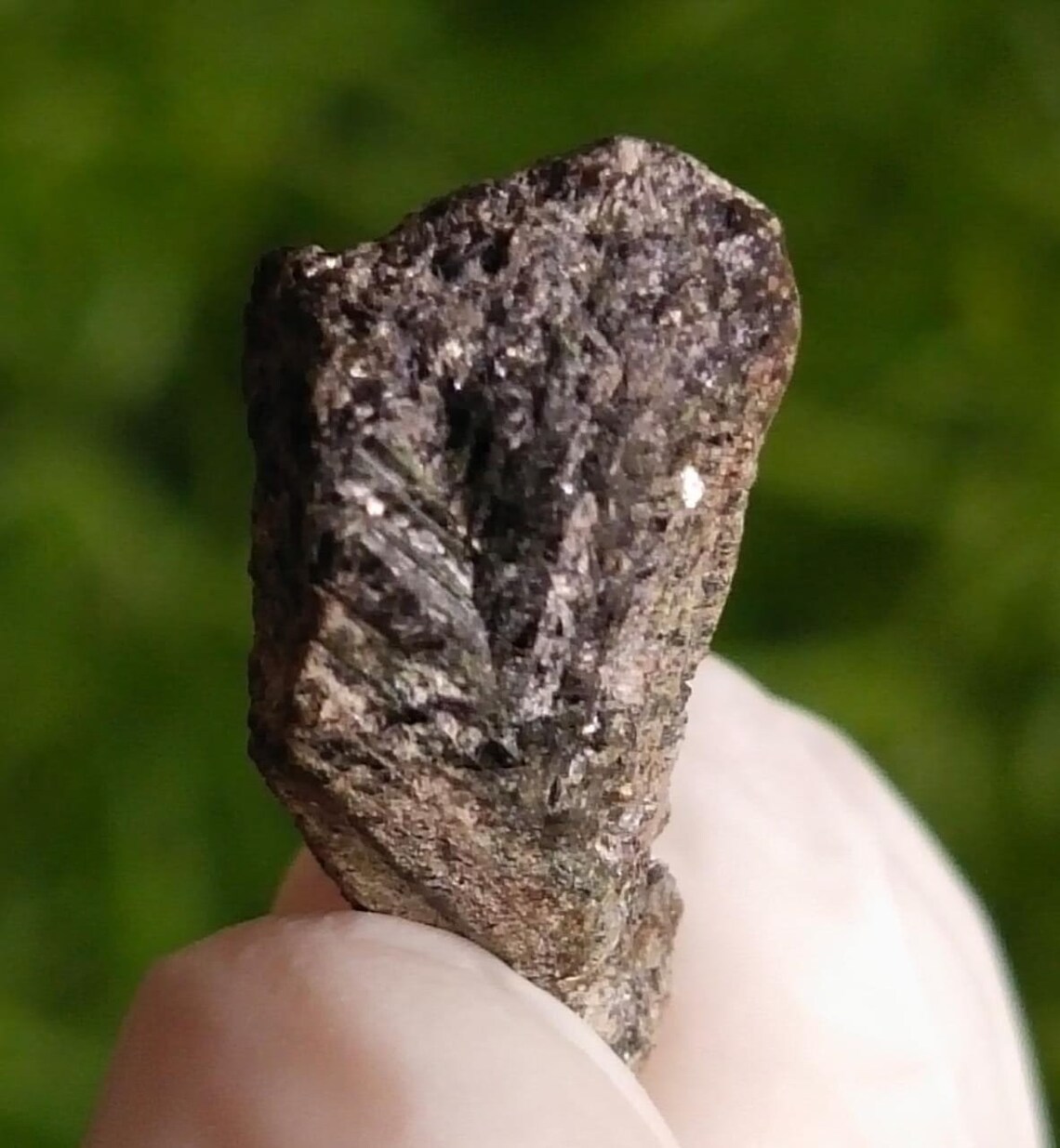 Natural Untreated Alexandrite Crystal Rare Alexandrite Unique | Etsy